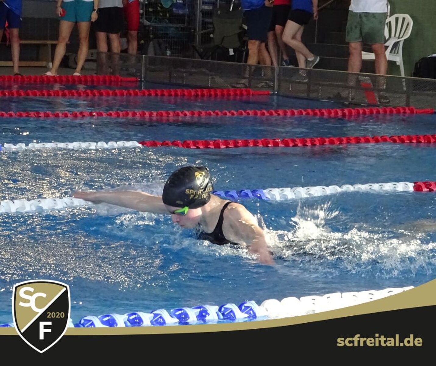 Schwimmen: SCF beim Neißepokal vertreten | Sportclub Freital