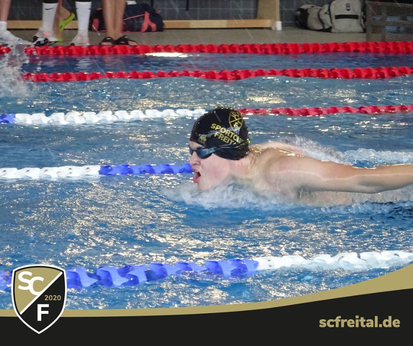 Schwimmen: SCF beim Neißepokal vertreten | Sportclub Freital